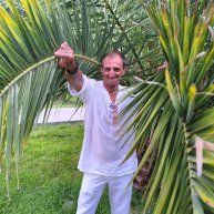 Иконка канала DimTV