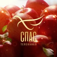 Иконка канала Телеканал СПАС