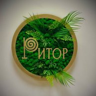 Иконка канала РИТОР