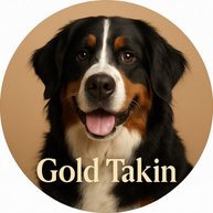 Иконка канала Gold Takin