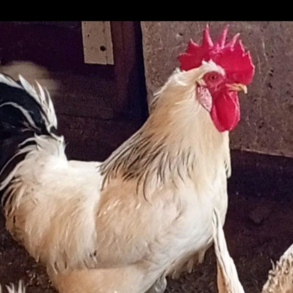 Иконка канала Маринины Увлечения