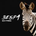 Иконка канала Подкаст "Зебра без грима"