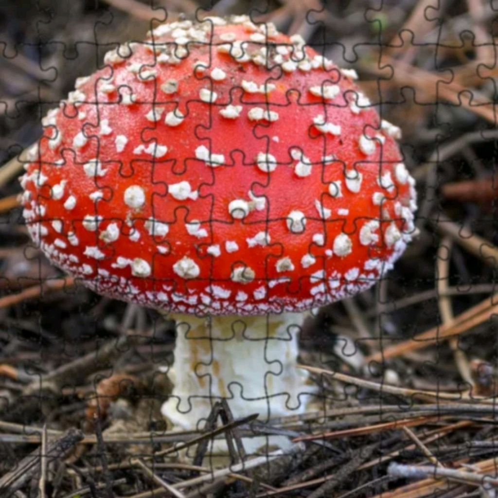 Иконка канала Няшка