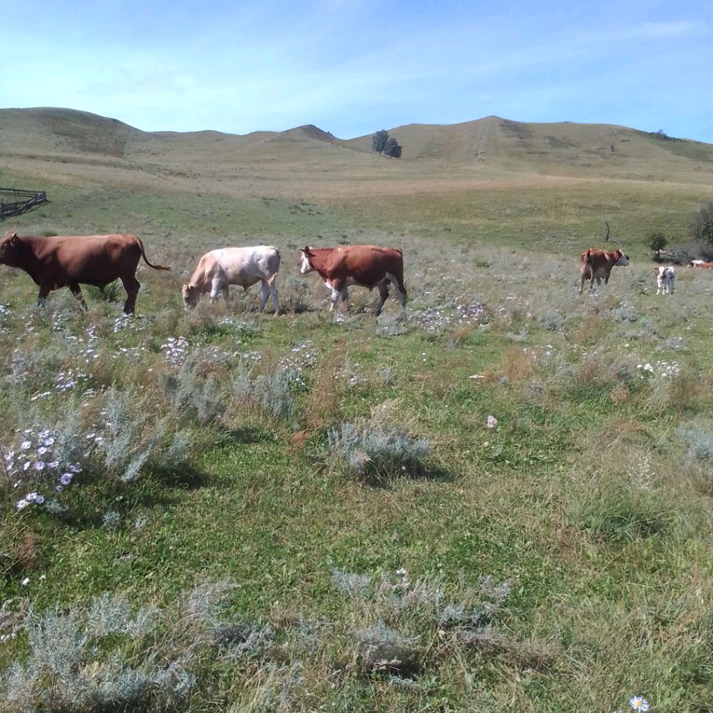 Иконка канала Серёга