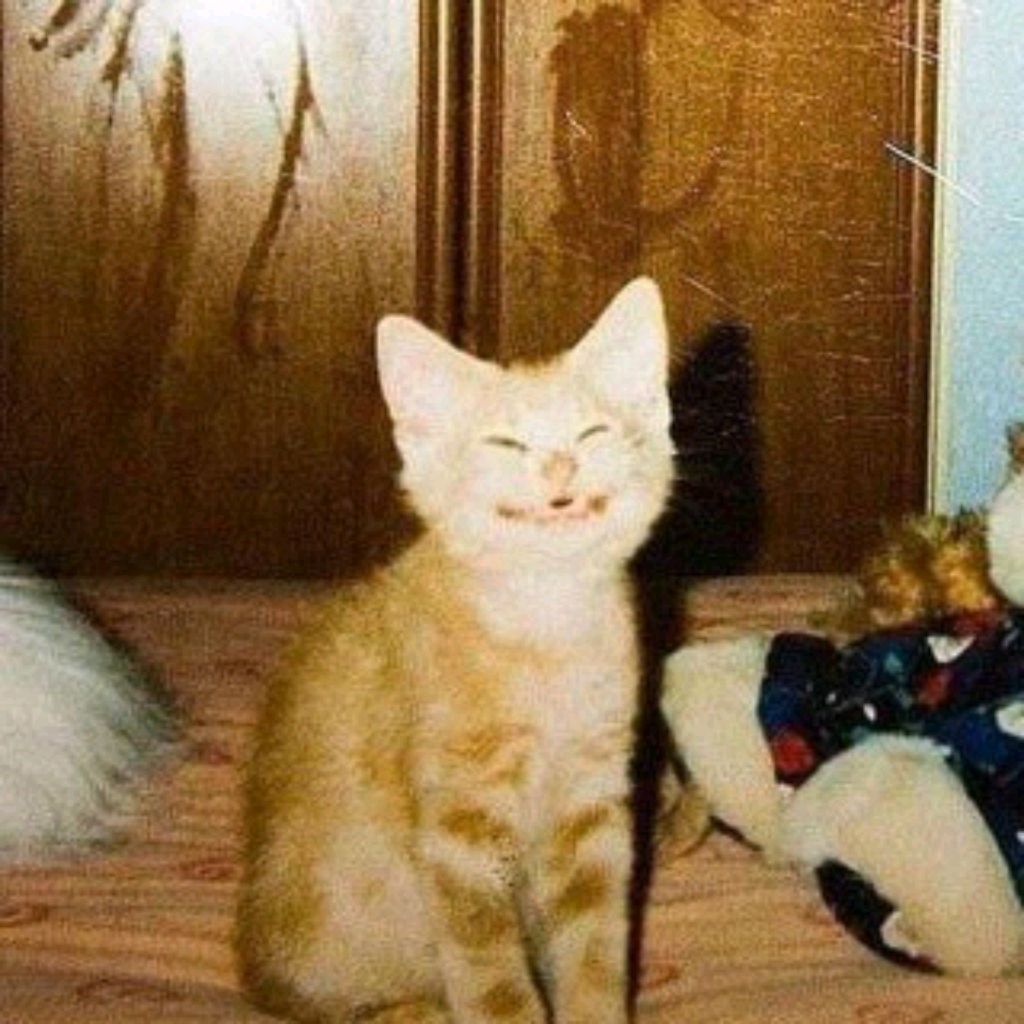 Иконка канала Лися И Финя