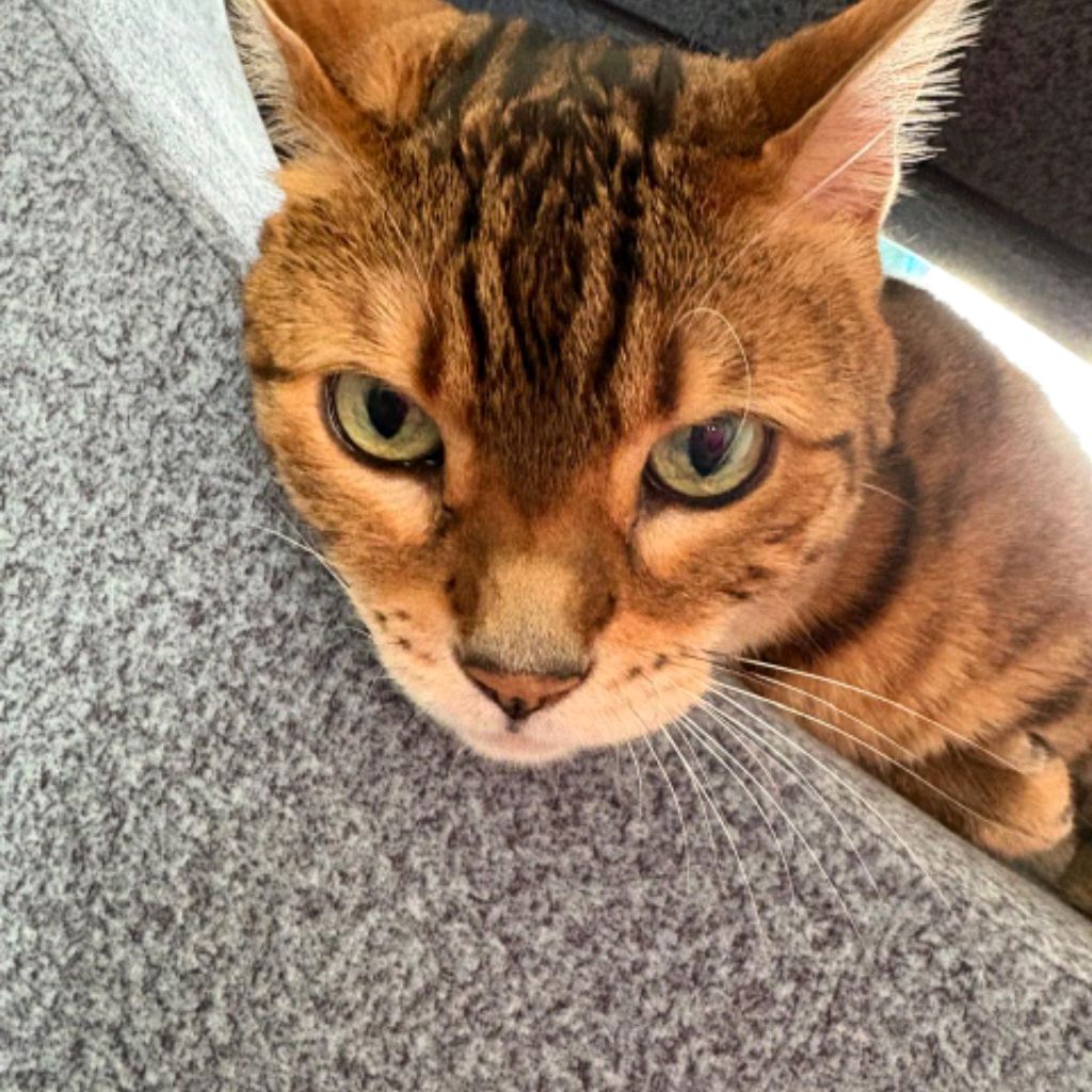 Иконка канала Těma and Marsel