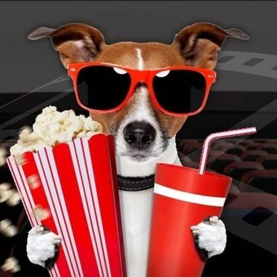 Иконка канала Кино I Сериалы