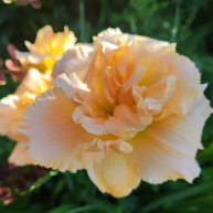 Иконка канала Вкус и Красота: от Кухни до Искусства или наоборот