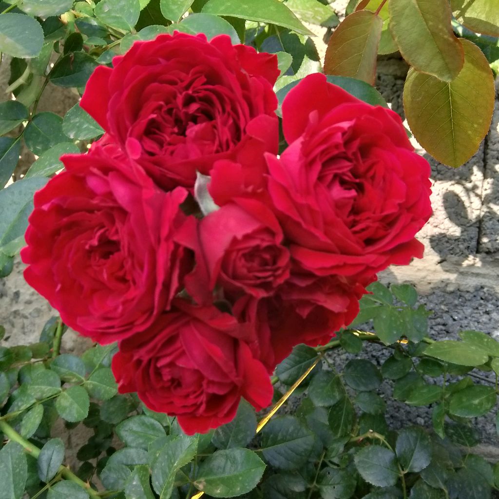 Иконка канала Lubov67745305