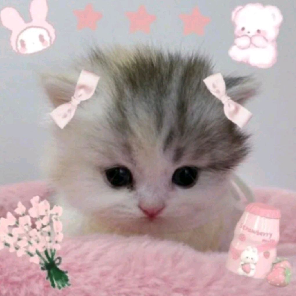 Иконка канала 🍥Варюша_квин🍥