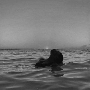 Иконка канала viks_food