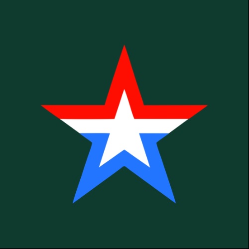 Иконка канала Сила Родины