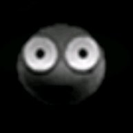 Иконка канала FLUXBEE