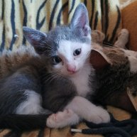 Иконка канала События, развлечения и прочее