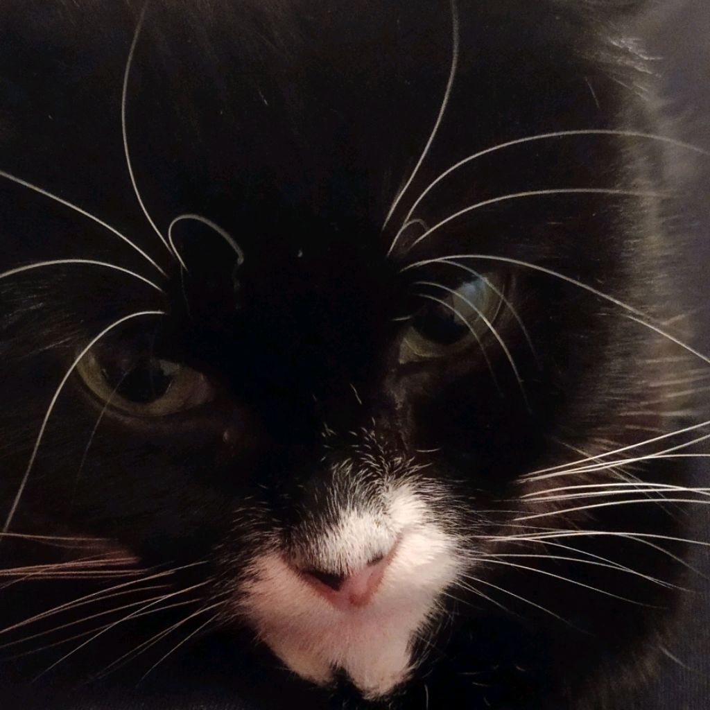 Иконка канала Фанат Цоя или просто снежок21K