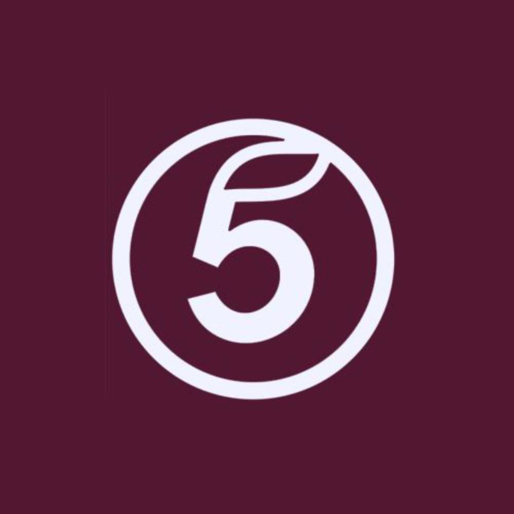 Иконка канала «Пятёрочка Франчайзинг»