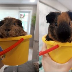 Иконка канала куки-марвик