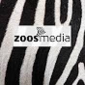 Иконка канала zoos.media