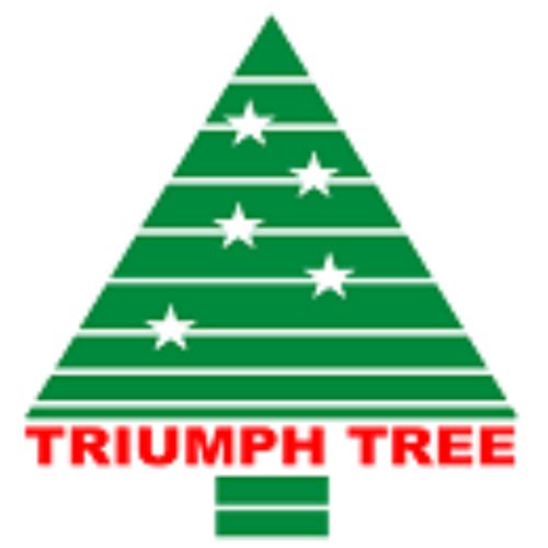 Иконка канала Triumph-elki.ru