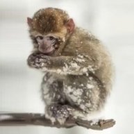 Иконка канала - ВИДЕО ☆