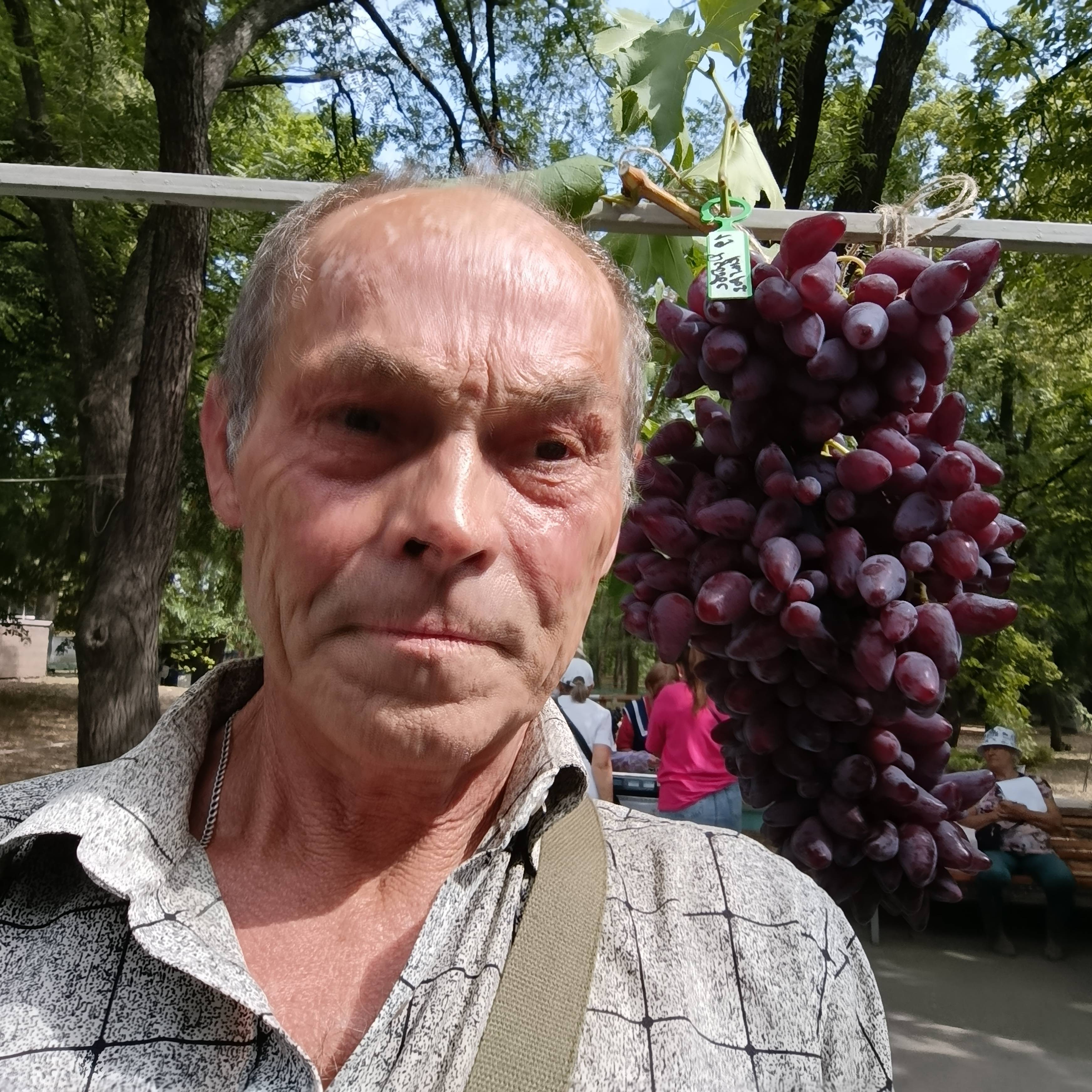 Иконка канала ДВОРИК