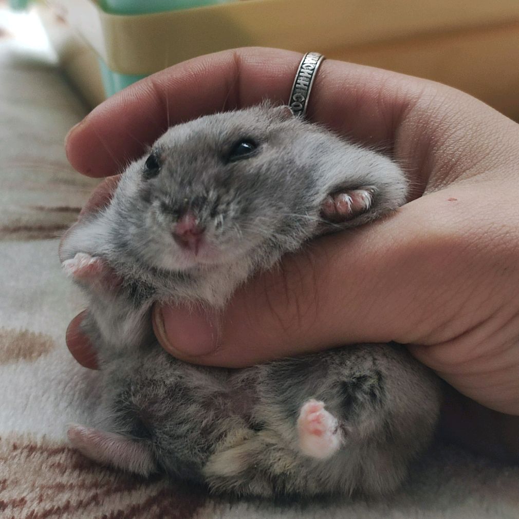 Иконка канала Дава64