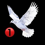 Иконка канала Рябчик