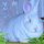 Иконка канала КРОЛИКИ И ИХ ДРУЗЬЯ BIG HAPPY BUNNIES