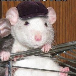 Иконка канала Олег ДЕТшот