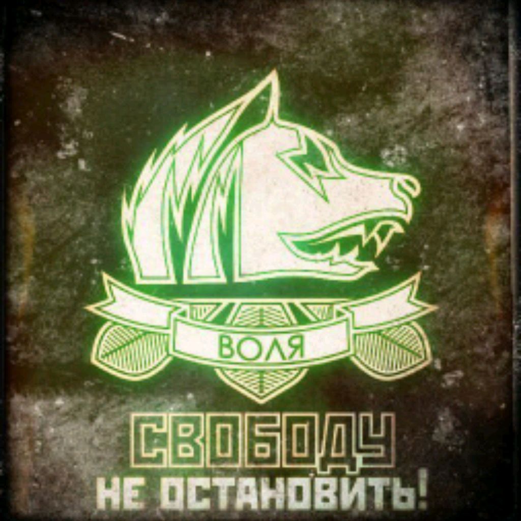 Иконка канала Волк 12 К