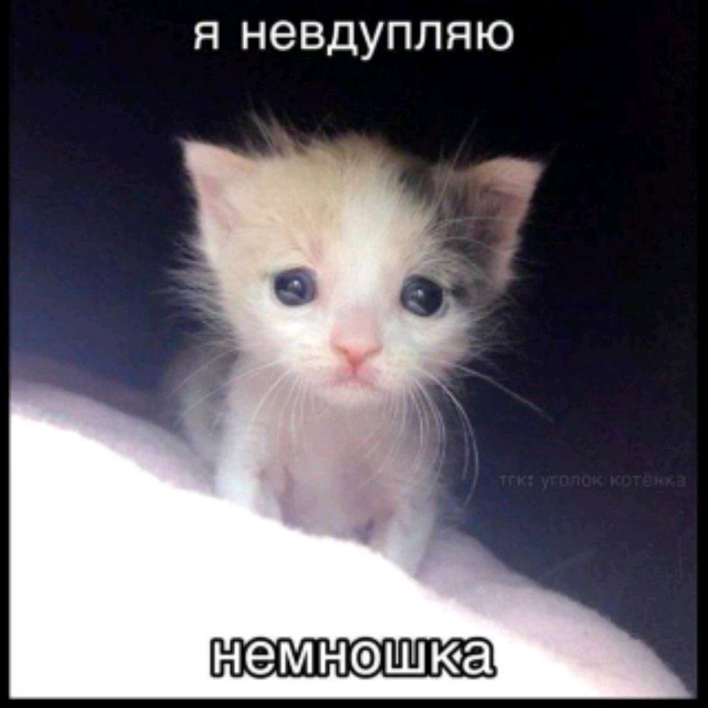 Иконка канала дайте музыки(!)