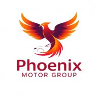 Иконка канала Phoenix Motor Group