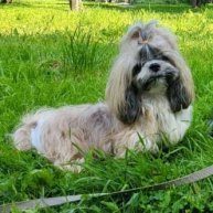 Иконка канала Wer