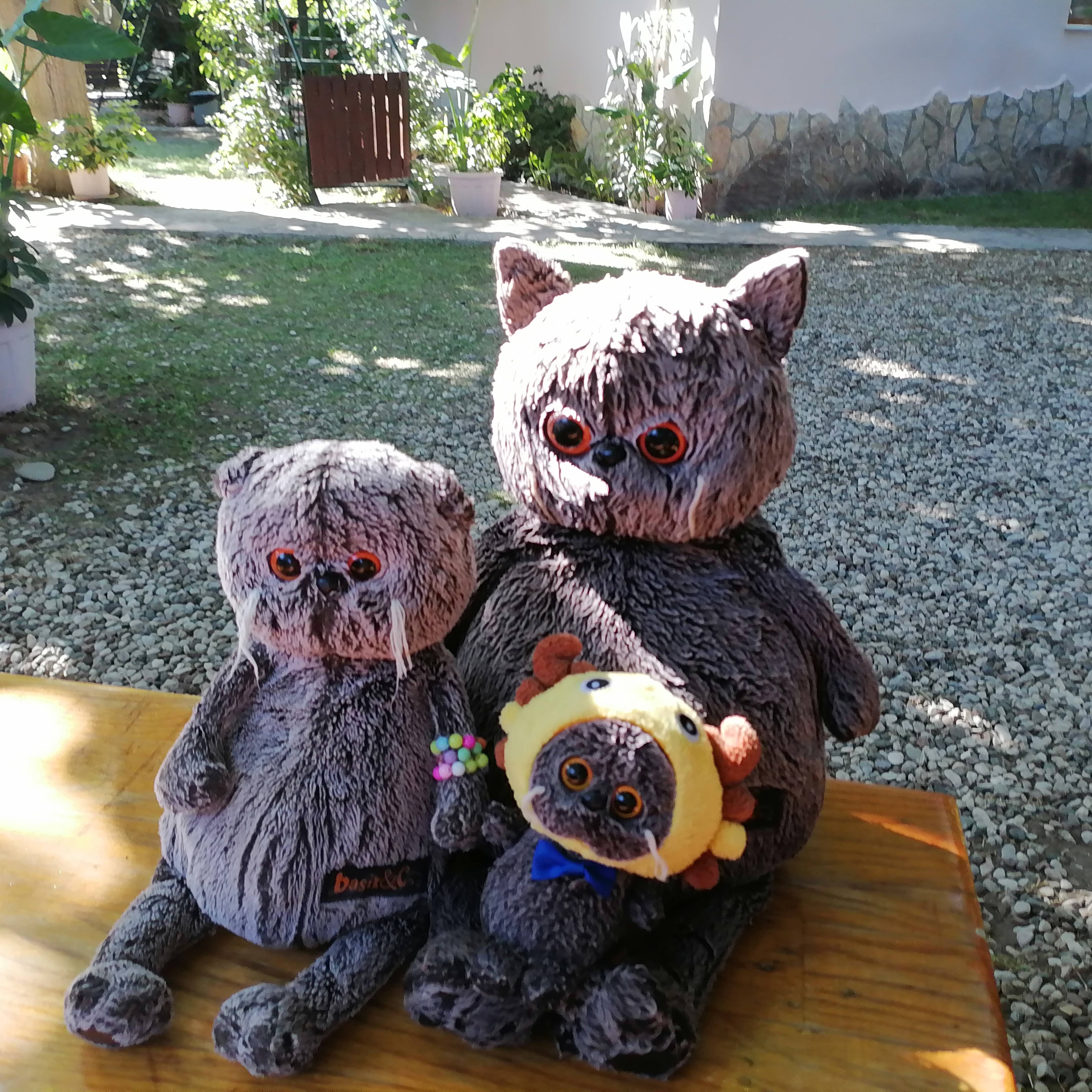 Иконка канала The Adventures of Sonic