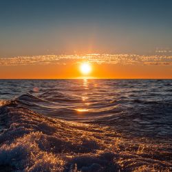 Иконка канала Sun What You See