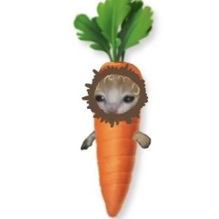 Иконка канала MorkovichSTREM