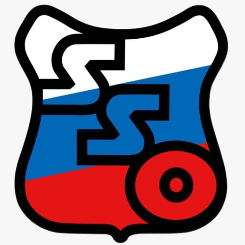 Иконка канала SSO