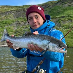 Иконка канала Андрей Гуммаров