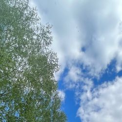 Иконка канала Buyan