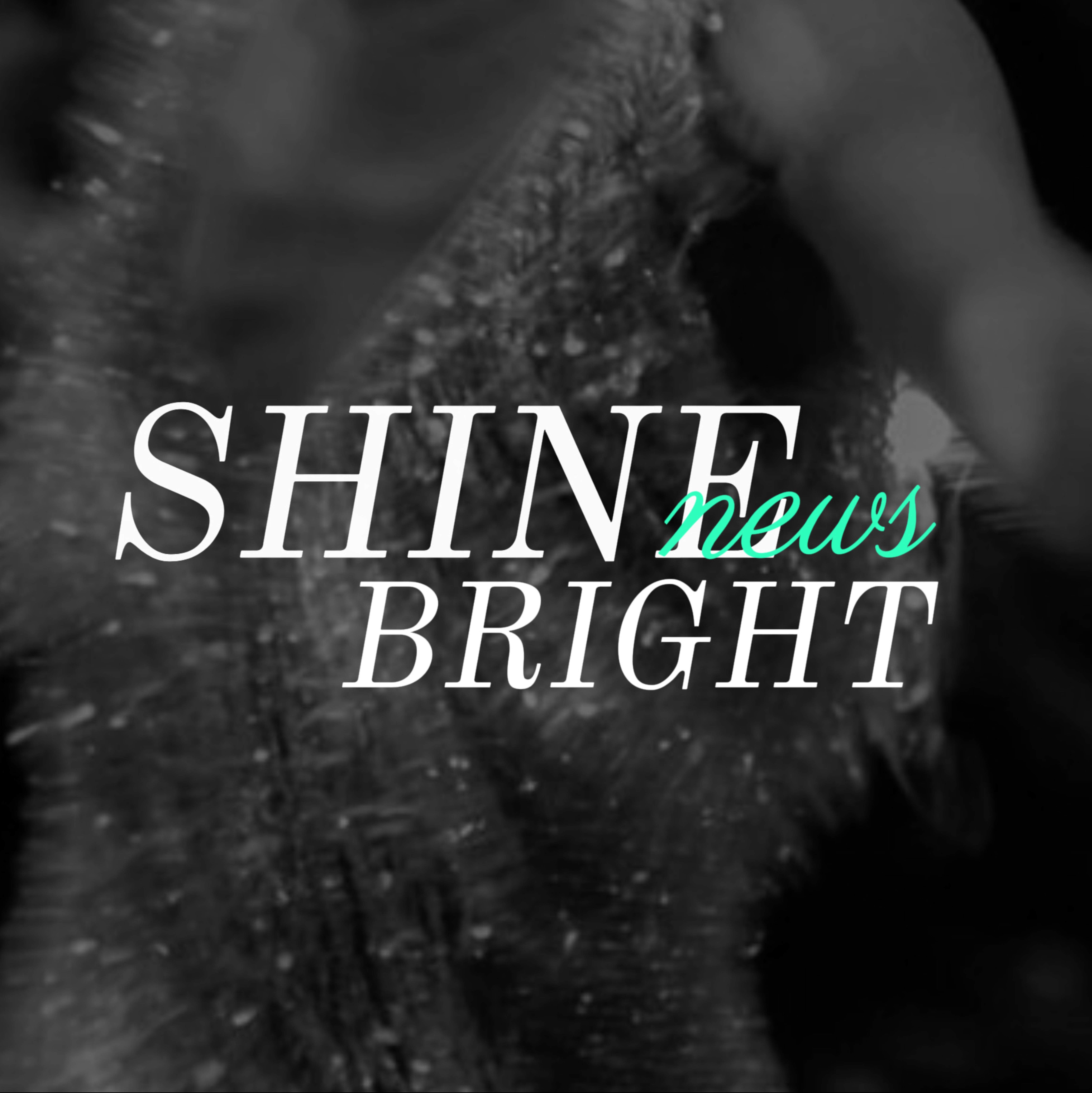 Иконка канала Shine Bright