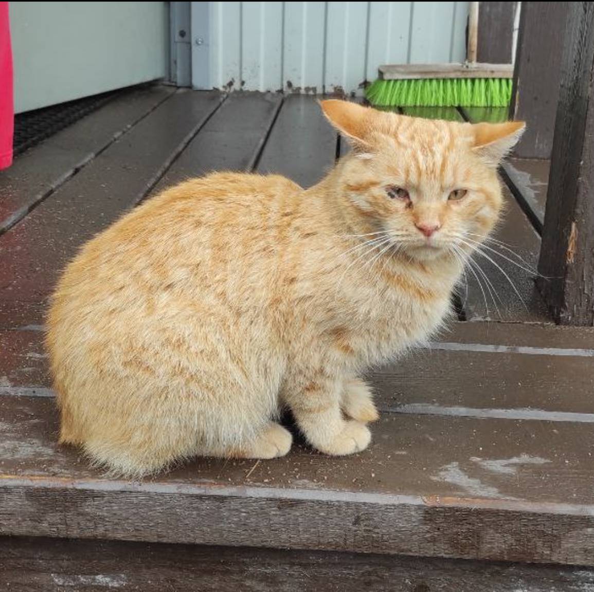 Иконка канала Кладоискатель и не только