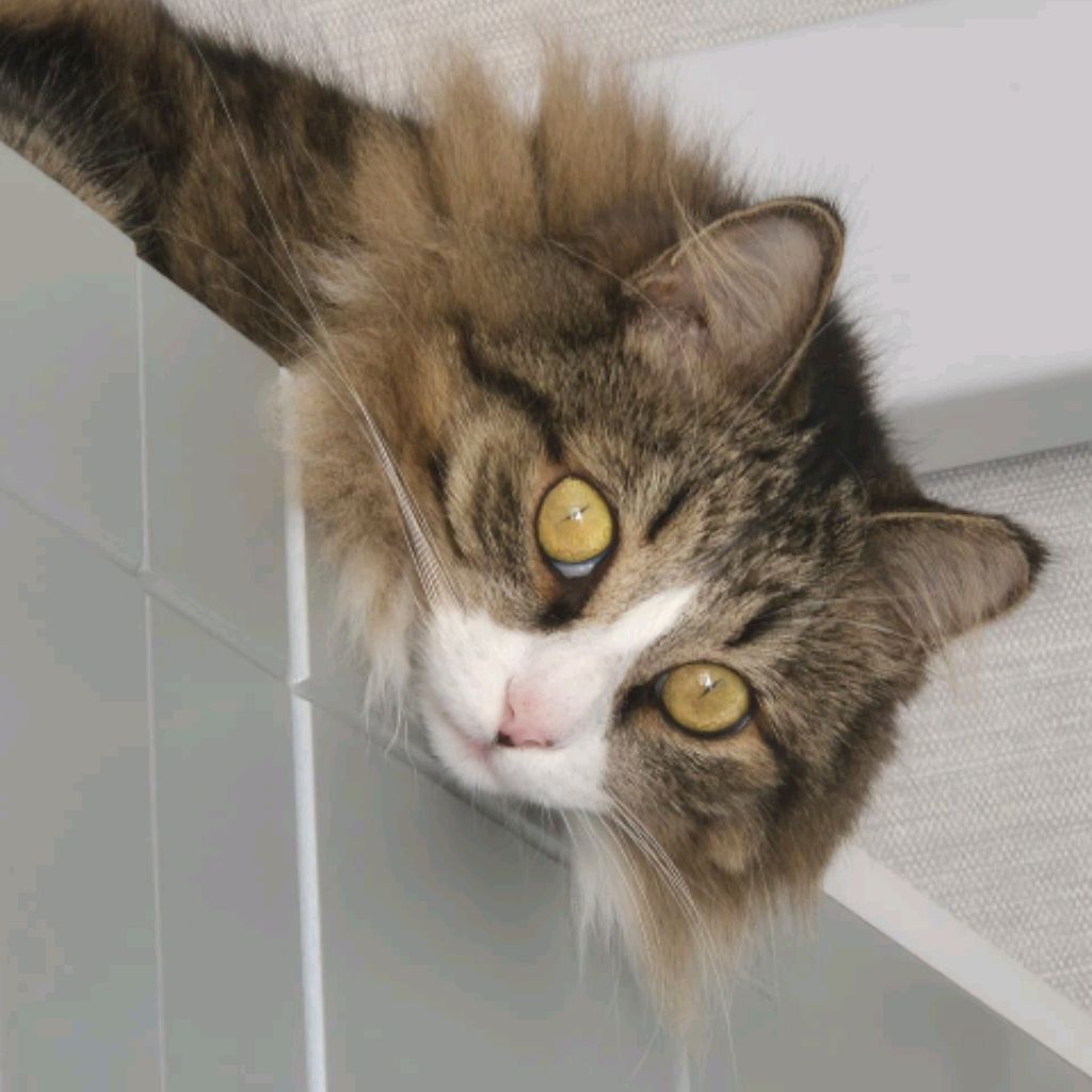 Иконка канала Barabulya2