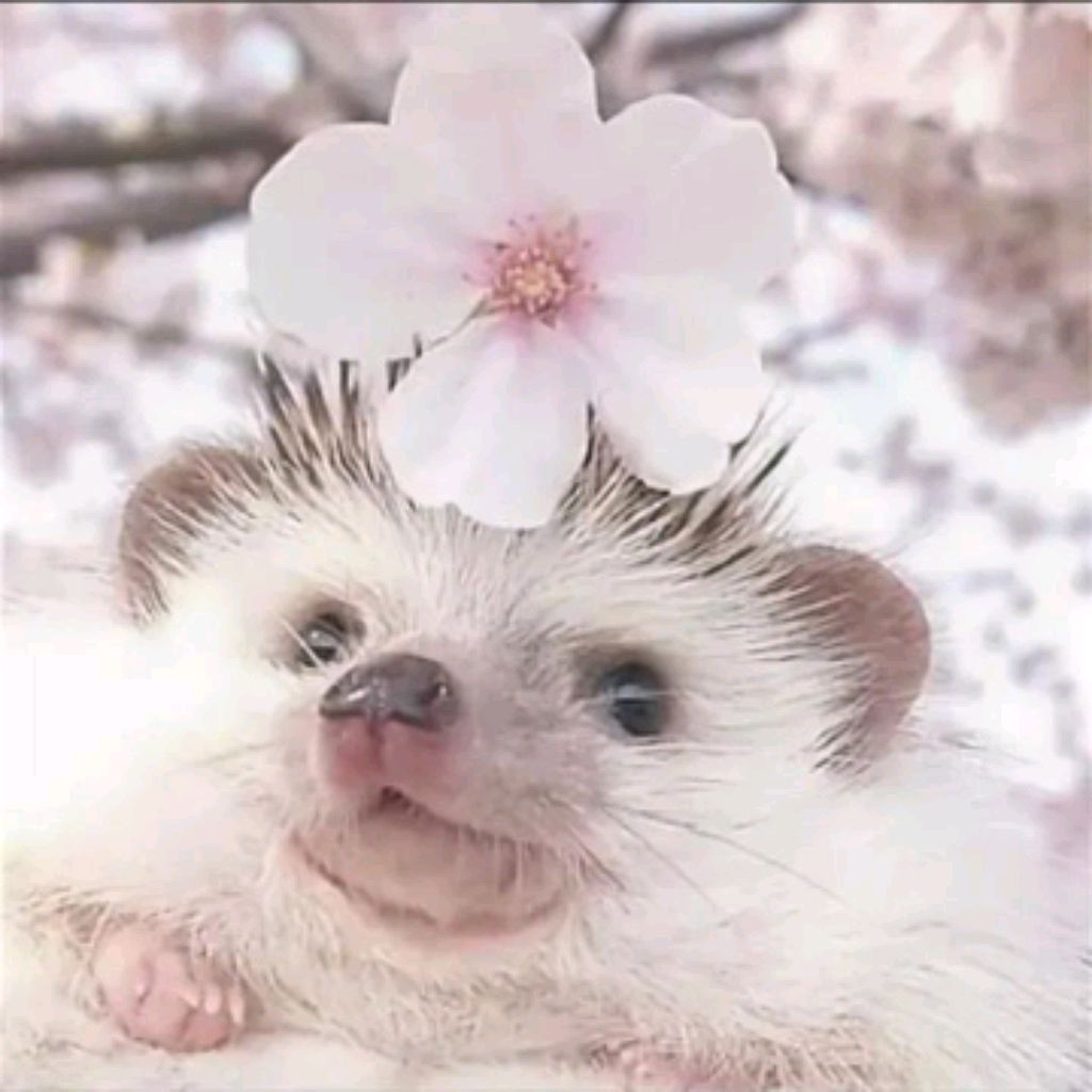 Иконка канала MrDraem