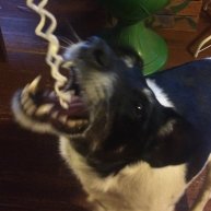 Иконка канала Bleskboss