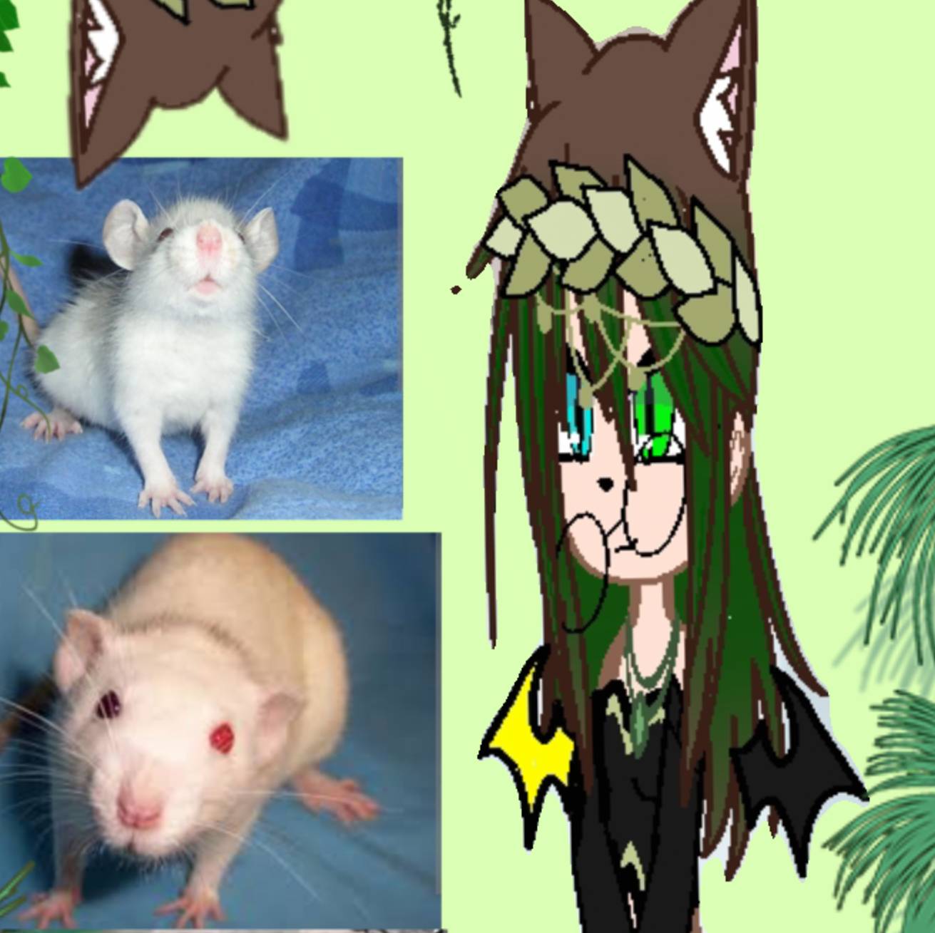 Иконка канала 𓆏 ✿Александра котик✿ 𓆏