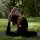 Иконка канала #YOGA за пределами. ЙОГА С ДАРЬЕЙ