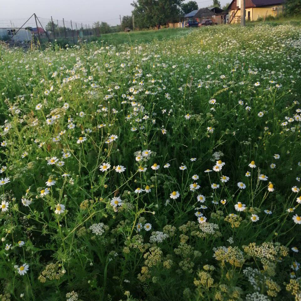 Иконка канала Новая жизнь в станице Мартанская