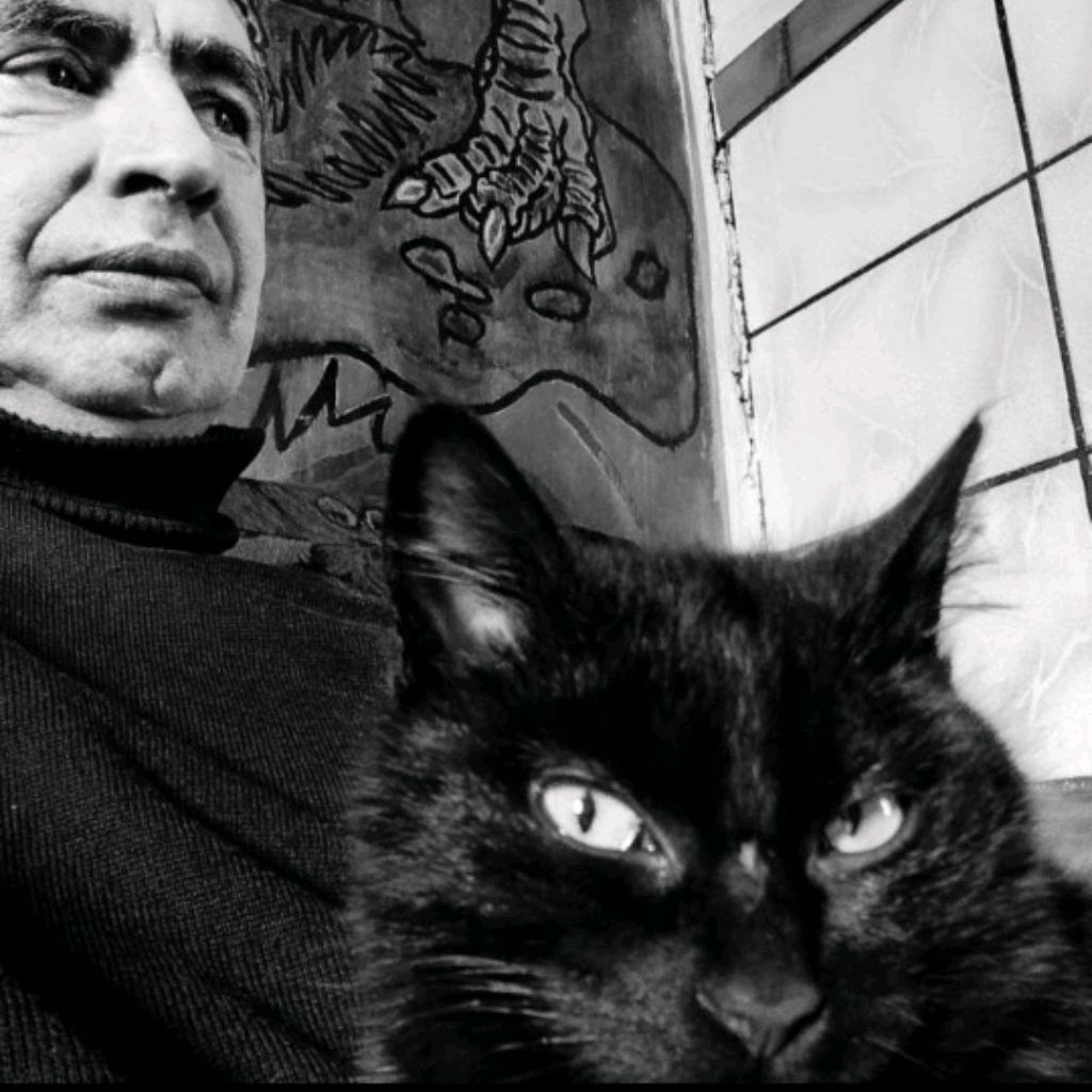 Иконка канала Владимир Владимирович.