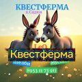 Иконка канала Квестферма Лео