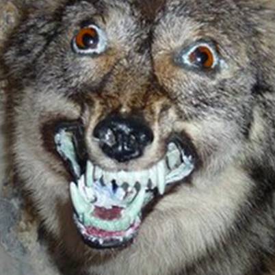 Иконка канала домик луня